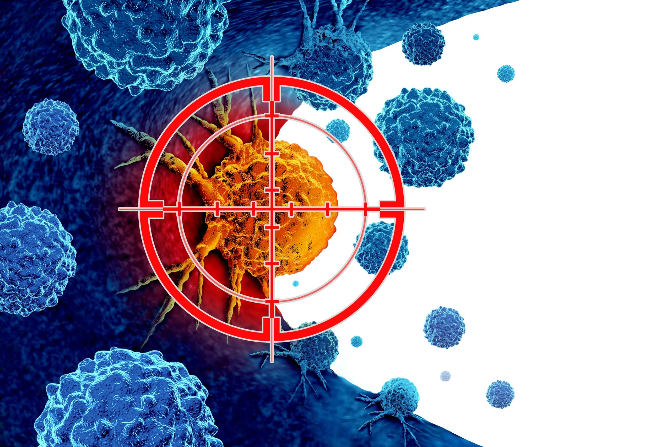 3 cibles innovantes pour l'inhibition des points de contrôle en ...