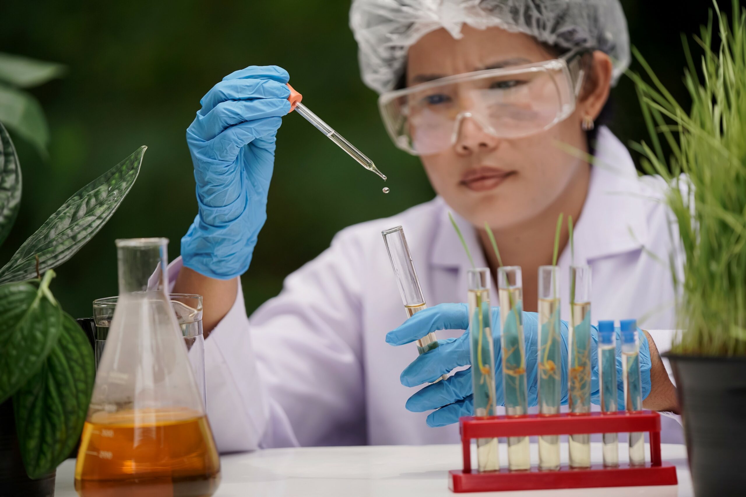 Molecular Pharming revolutioniert die Arzneimittelherstellung