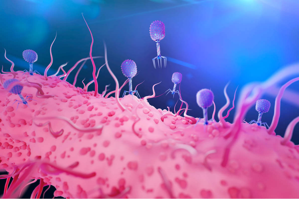 The 4 promises of phage therapy for medical research