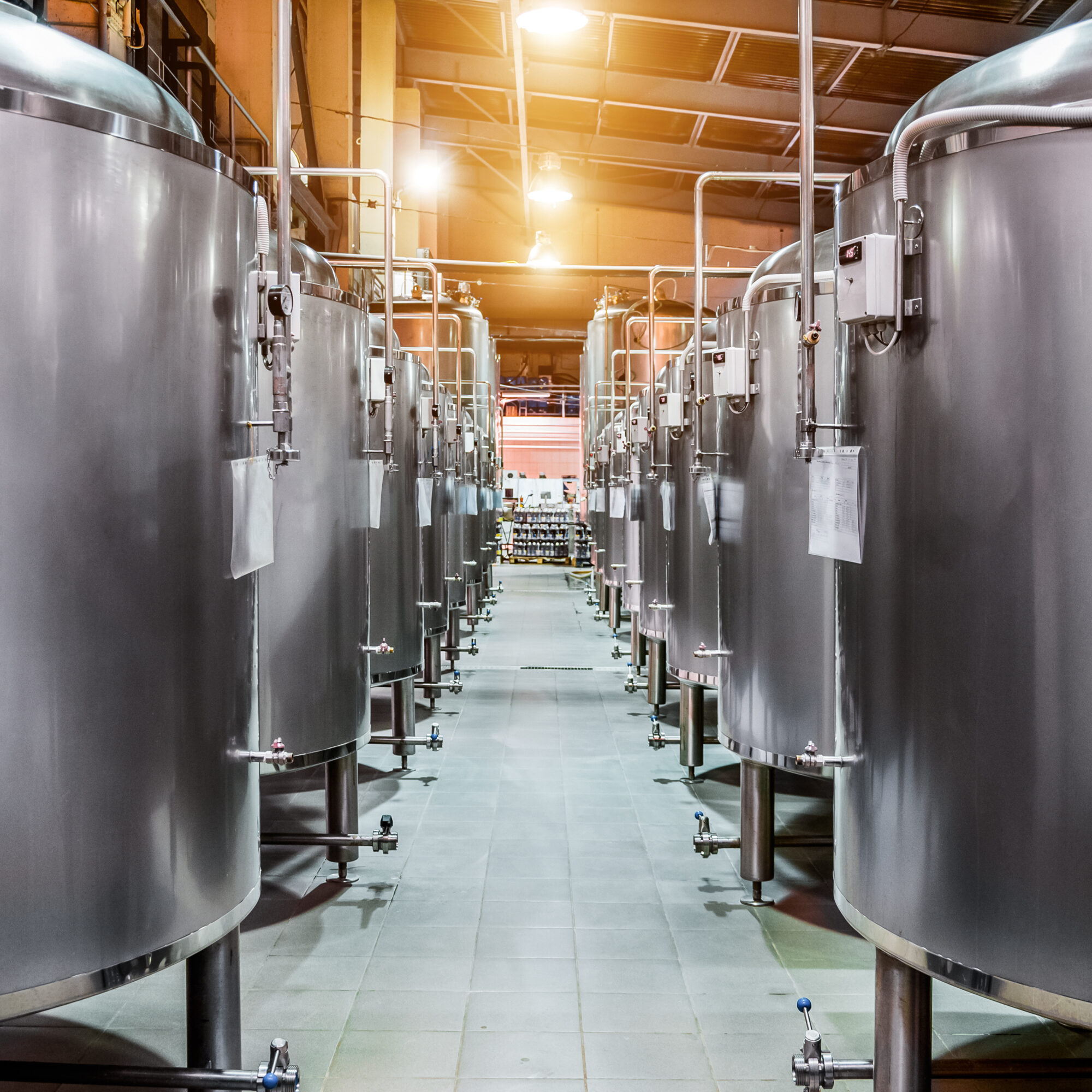 Precision Fermentation: What Is So Exciting About It?