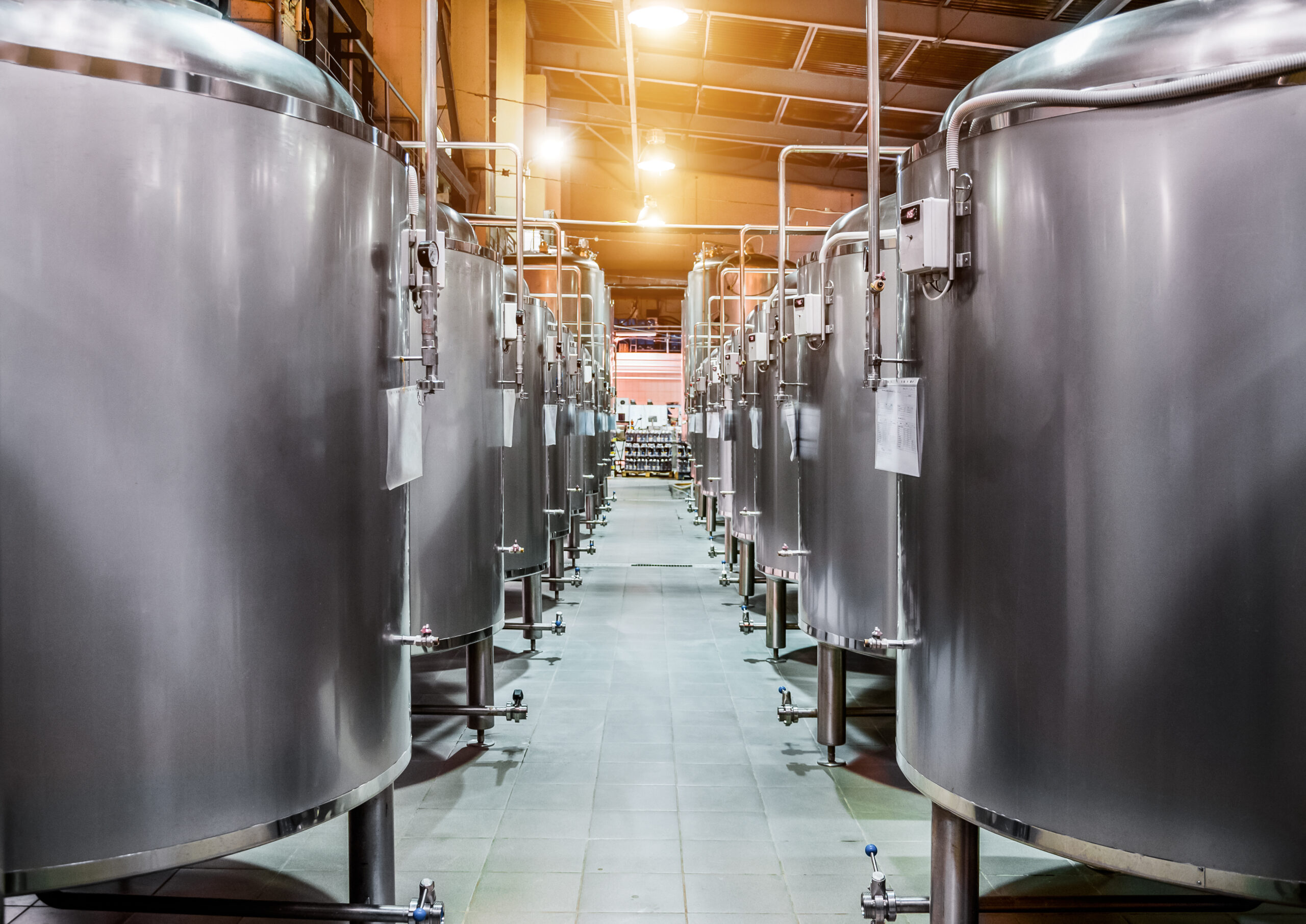 Precision Fermentation: What Is So Exciting About It?